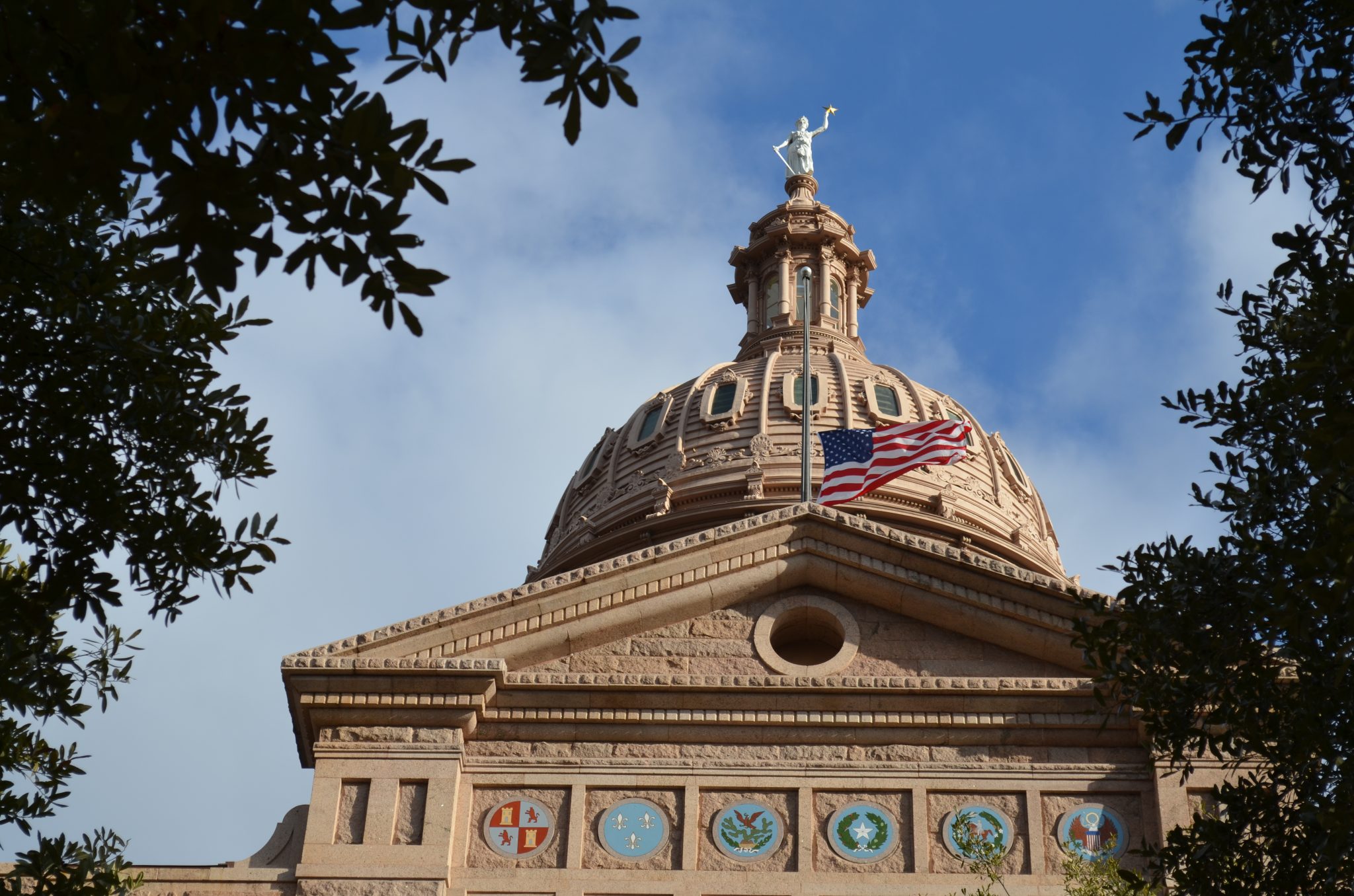 Enhanced STEAR Database Launches – HillCo Partners